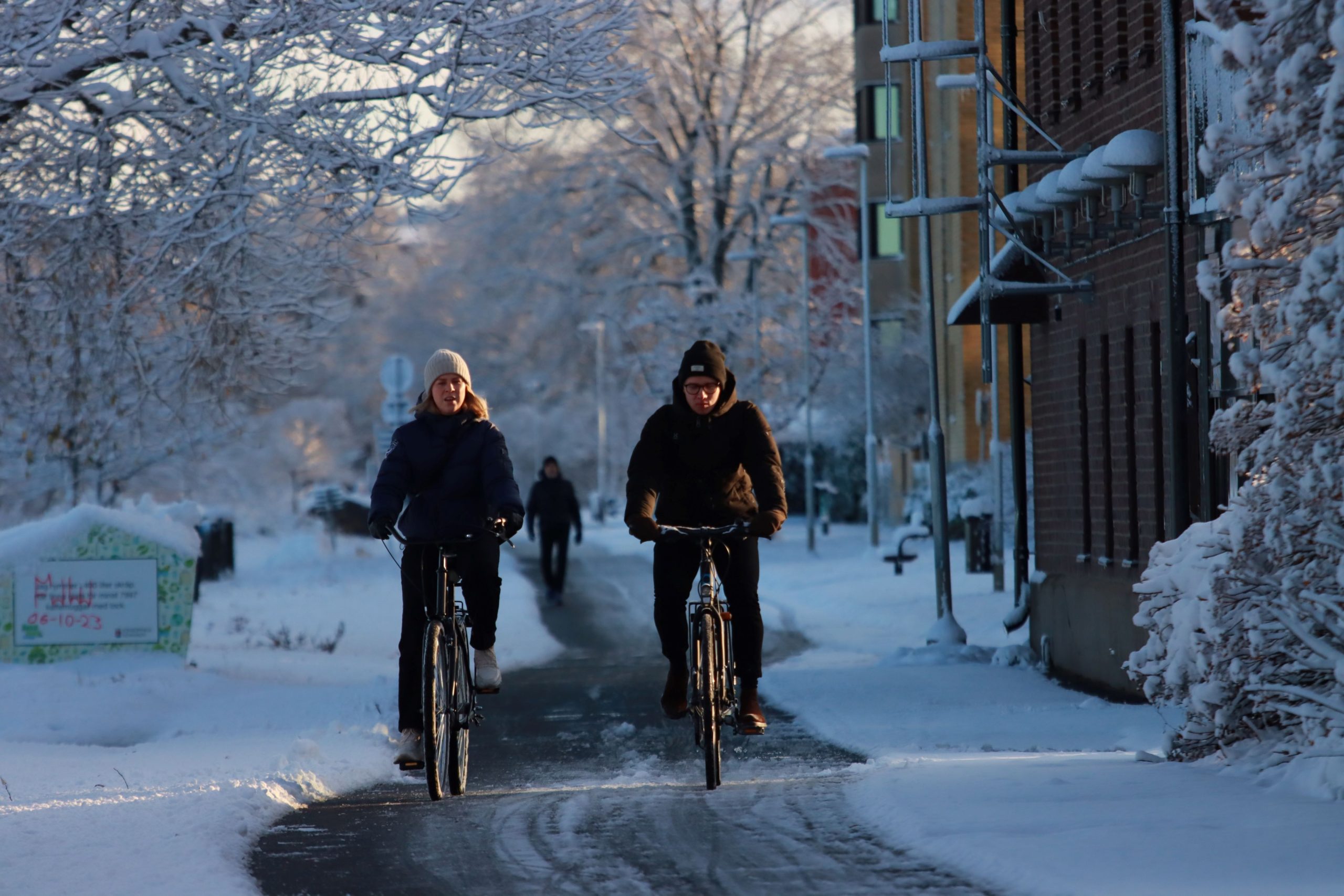 Experience Winter Adventures with an Electric Snow Bike - Scooter Trendz