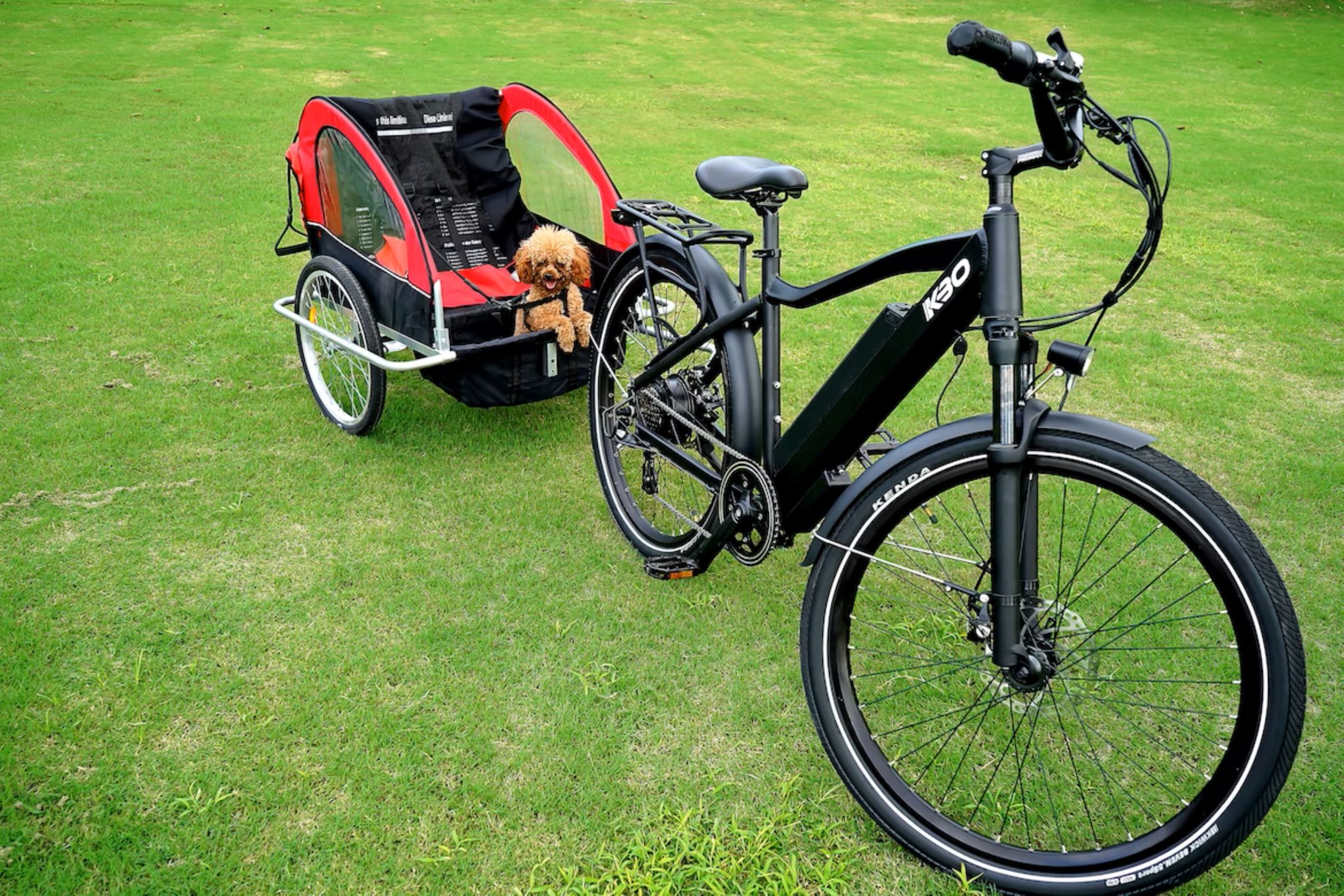 Electric Bike Trailer: Enhance Your Cycling Experience with Extra ...