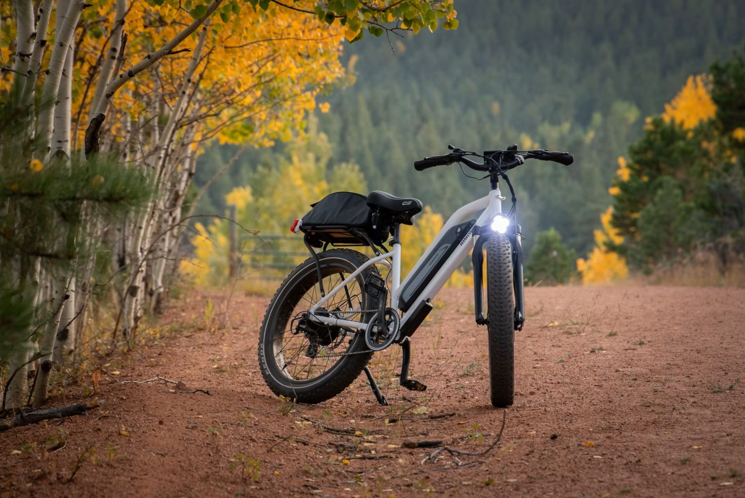 Cruising on a Budget: Best Electric Bikes Under $100 Dollars - Scooter ...